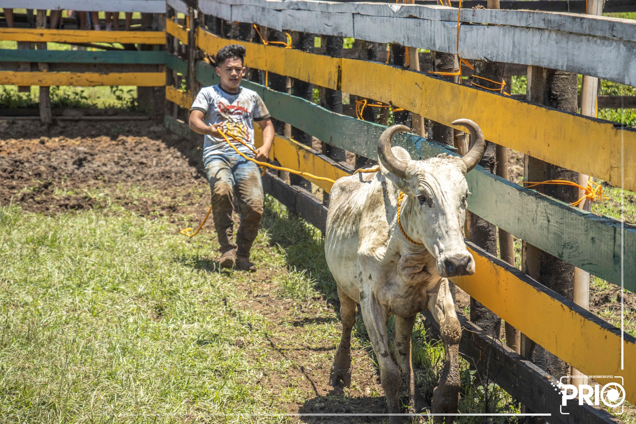 RODEO SA MUSUAN 2022 – Central Mindanao University