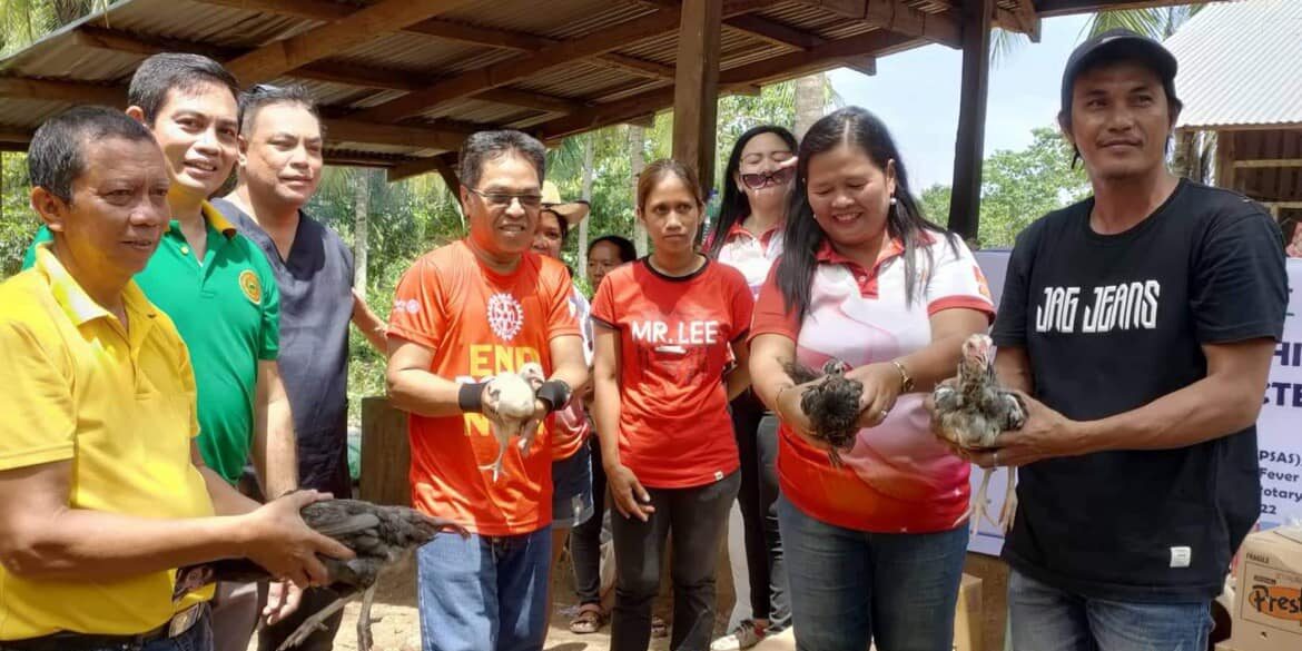 CMU Distributes Over 100 Live Chickens to Farmers Affected by ASF ...