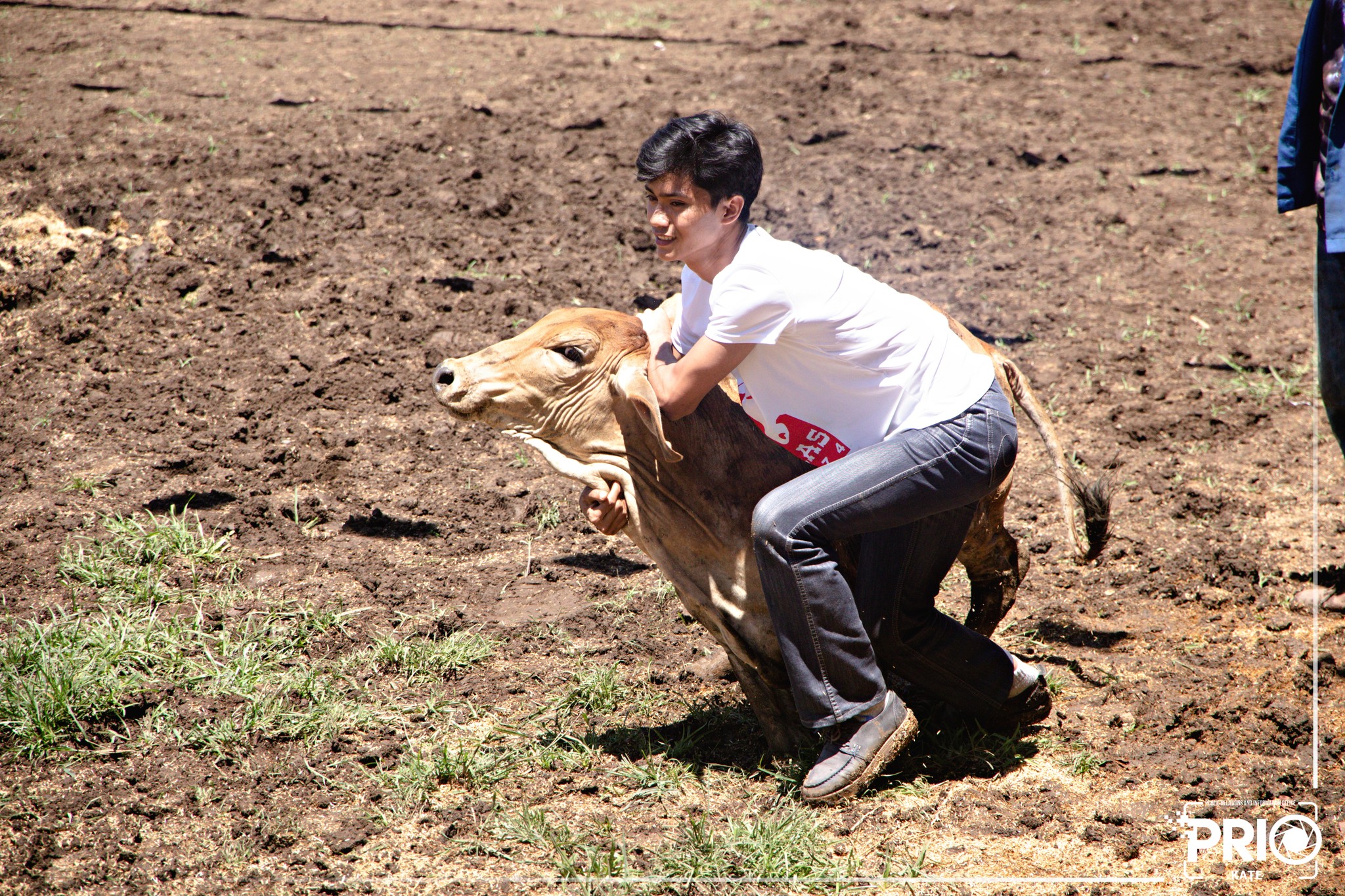 Day One of the 48th Rodeo sa Musuan at the University Catching Corral ...
