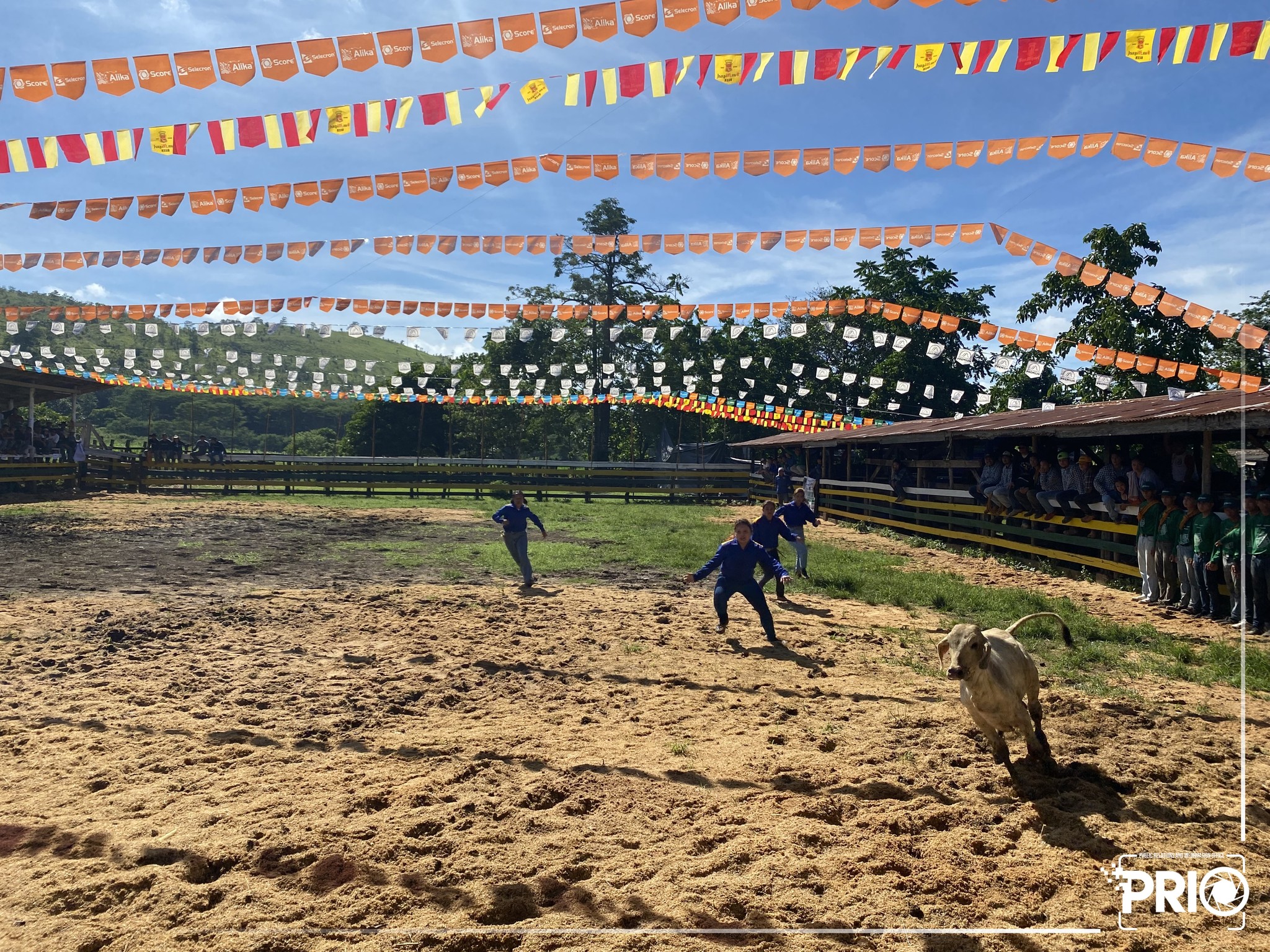 Day One of the 48th Rodeo sa Musuan at the University Catching Corral ...